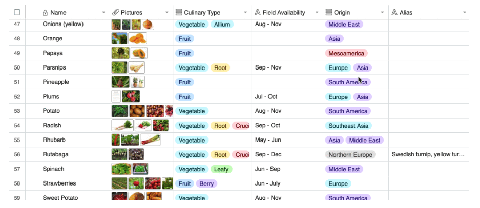 Anki Flash Cards | BuiltOnAir